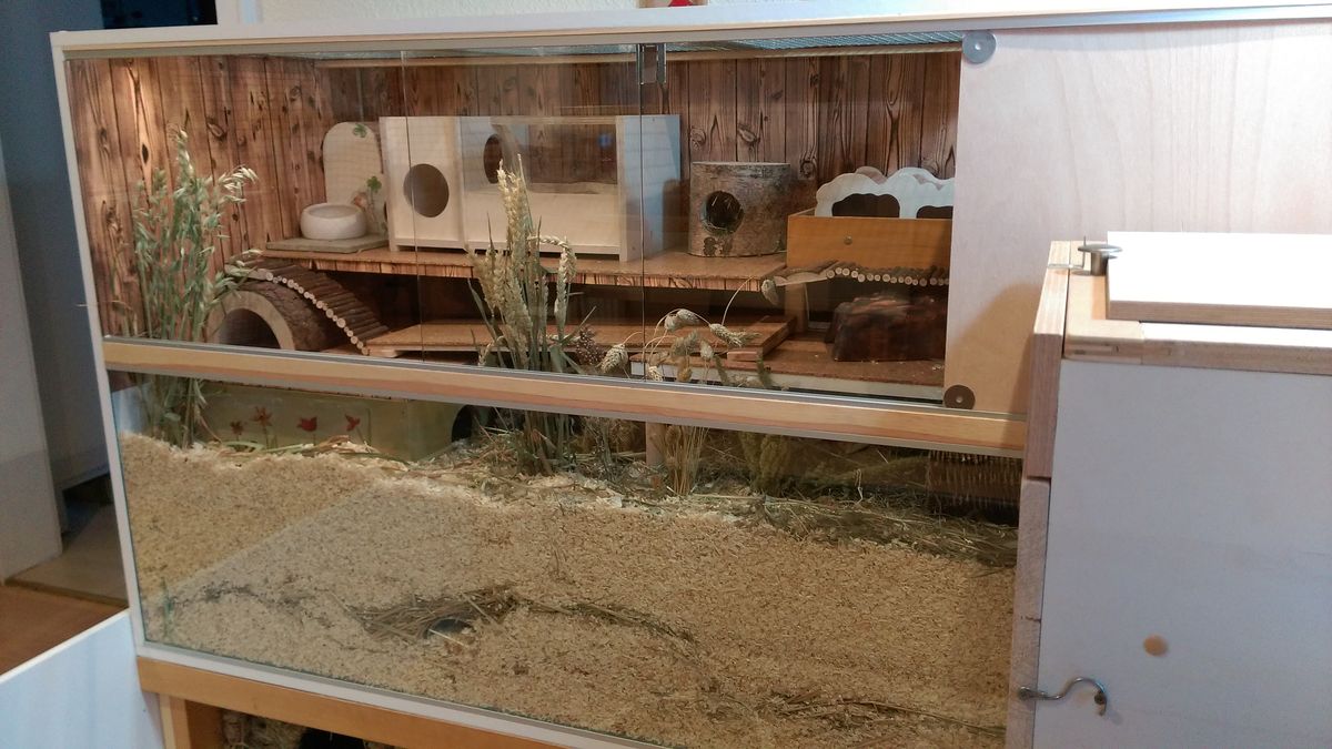 Mein Eigenbau für einen Teddyhamster - Eigenbau